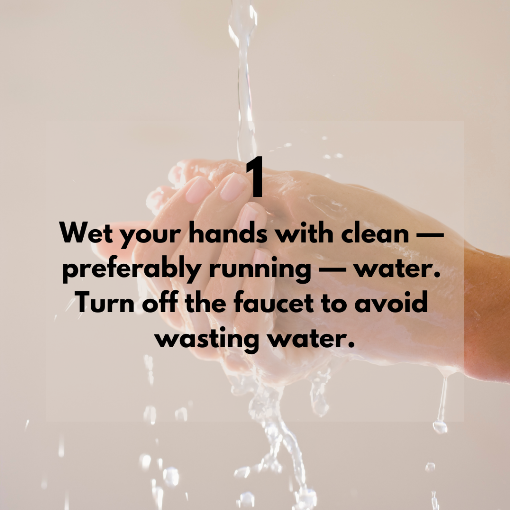 6 steps to properly wash your hands – The Endocrinology Wellness Institute