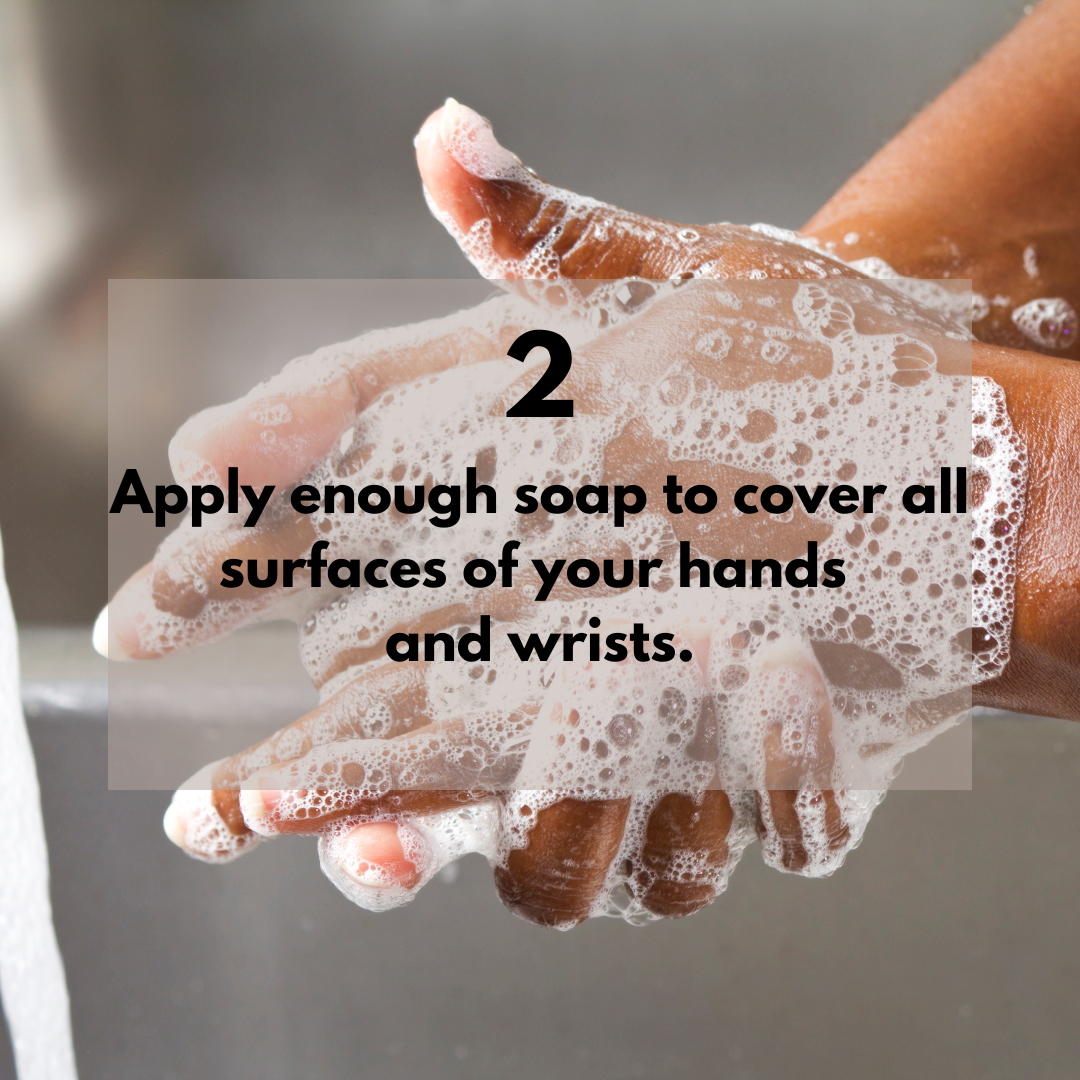 6 steps to properly wash your hands – The Endocrinology Wellness Institute
