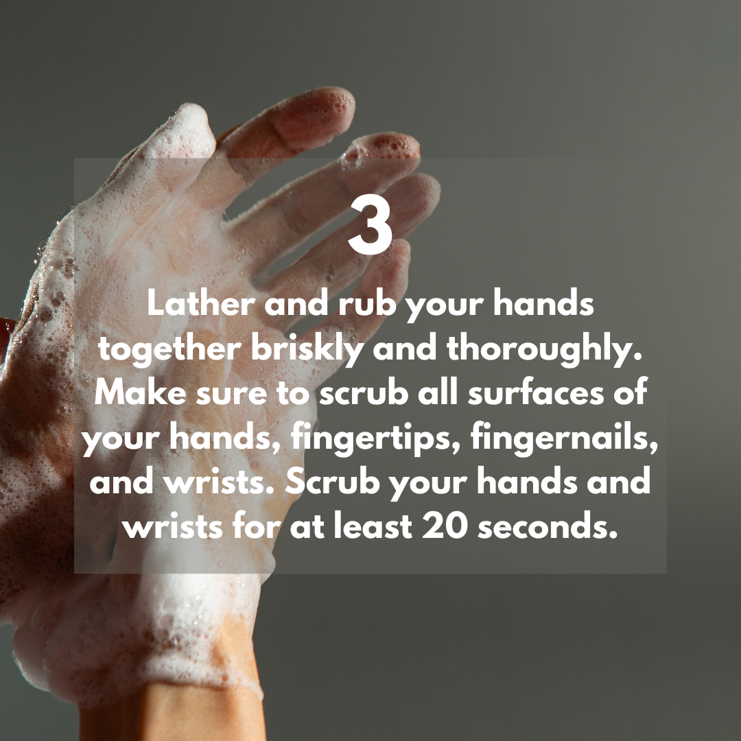 6 steps to properly wash your hands – The Endocrinology Wellness Institute